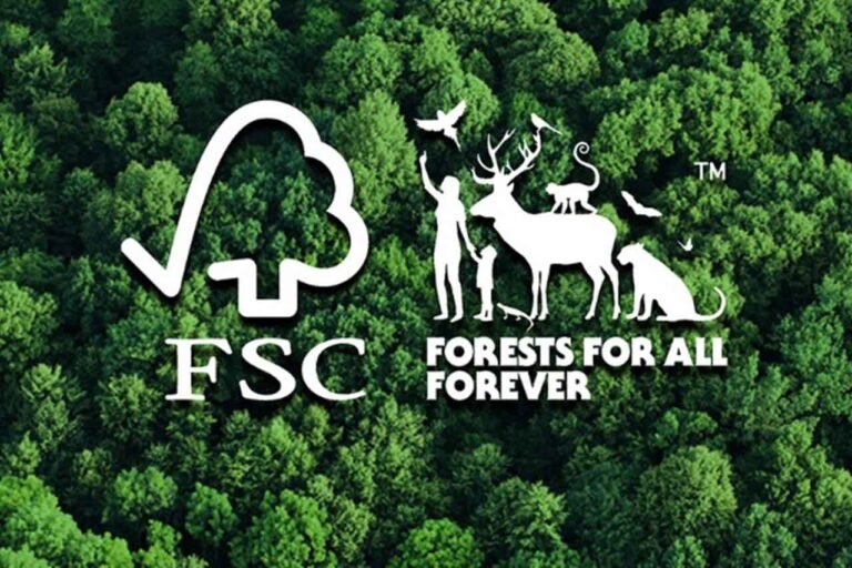Mengenal FSC: Sertifikasi untuk Keberlanjutan Hutan Dunia